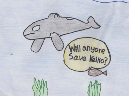 Documentary Activities Guide - Keiko The Untold Story of the Star of ...